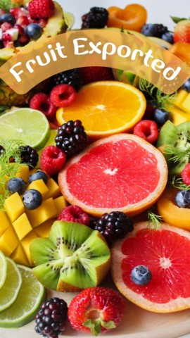 1E6D5915-2DE5-435E-A10B-C565720F3DB7