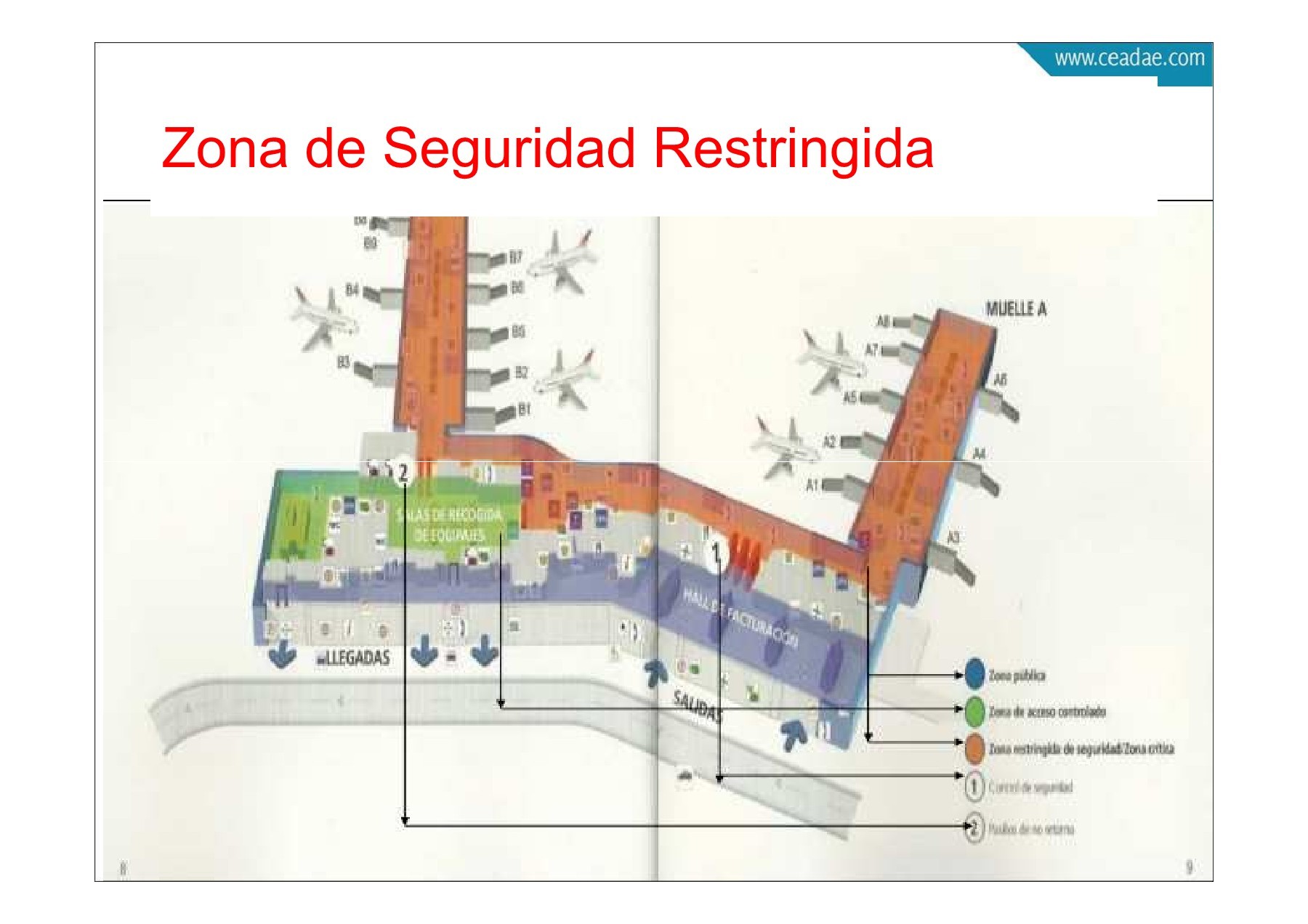 Principios de seguridad aeroportuaria - Mario R. Dickson G. - Página 89 ...
