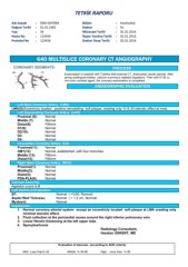 SAMPLE OF 640 MULTISLICE CORONARY CT ANGIOGRAPHY REPORT - Yavuz dinç ...