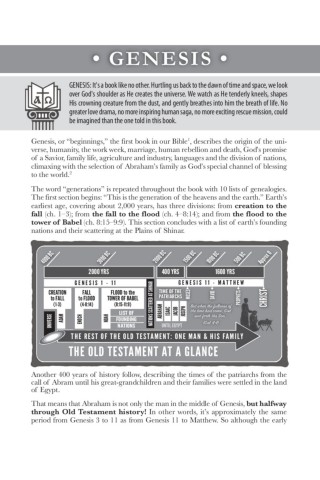 Genesis by Jabe Nicholson