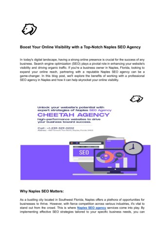 Boost Your Online Visibility with a Top-Notch Naples SEO Agency - Naples SEO Agency- Cheetah ...