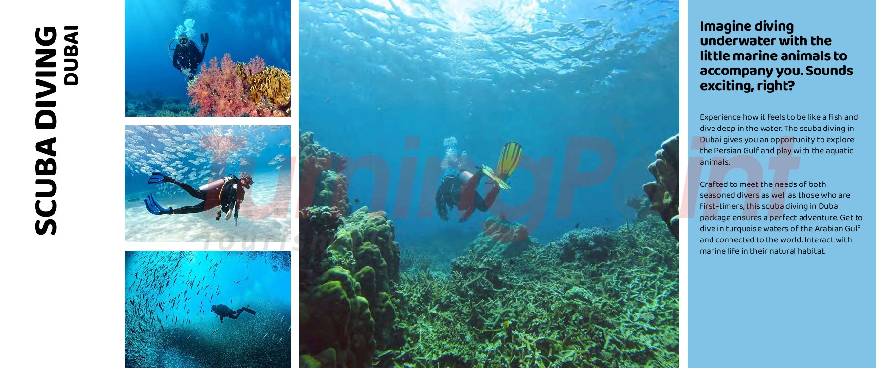 Turning Point Excursion Brochure - riddhi - Page 110 | Flip PDF Online ...