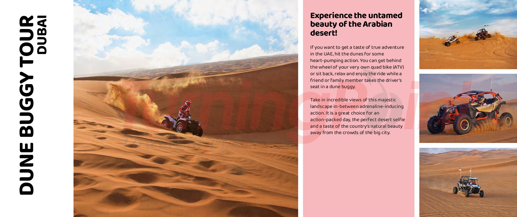 Turning Point Excursion Brochure - riddhi - Page 81 | Flip PDF Online ...