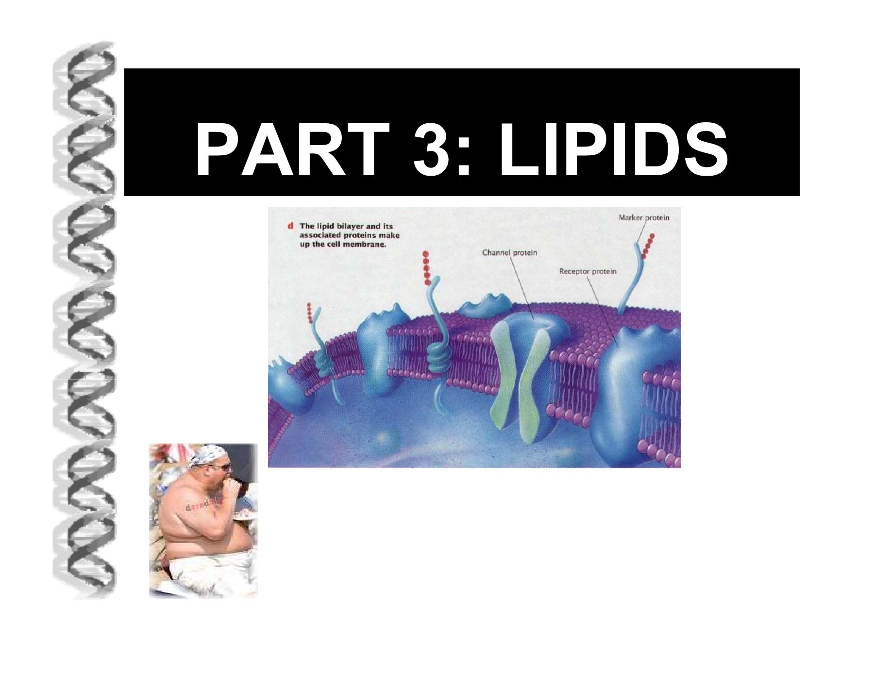 Lipids - น.ส.ยุวธิดา ปักโคทานัง - หน้าหนังสือ 1 - 37 | พลิก PDF ออนไลน์ ...