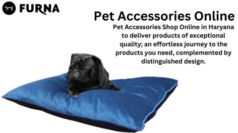 Pet Accessories Shop Online
