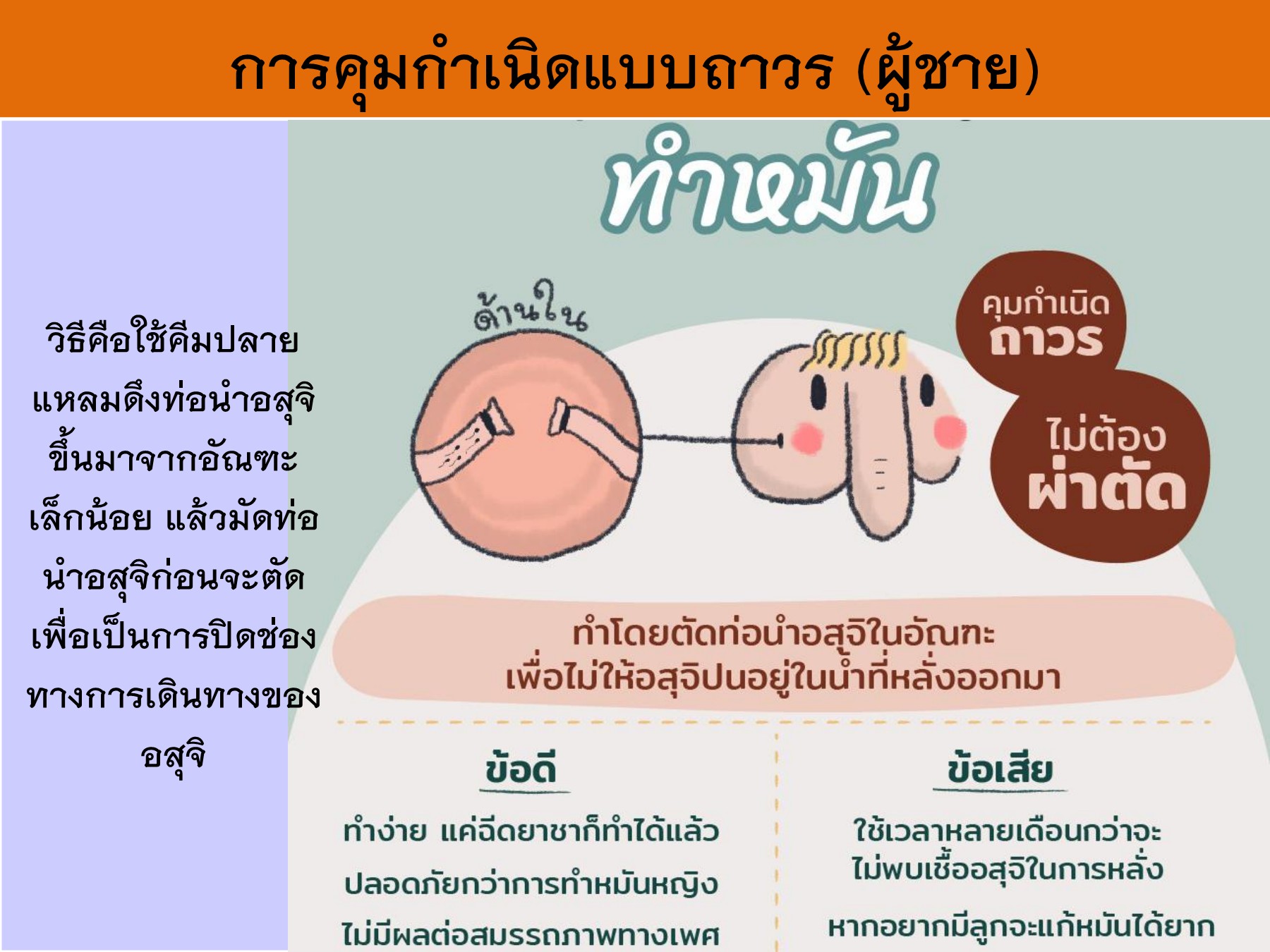 ระบบสืบพันธุ์ - Kezaa Bio - หน้าหนังสือ 31 | พลิก PDF ออนไลน์ | PubHTML5