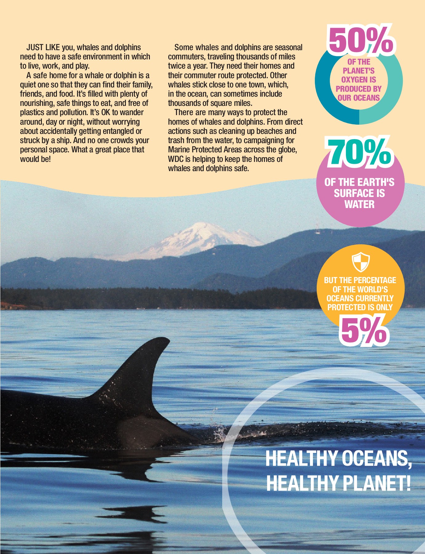 FY2019 ANNUAL IMPACT REPORT Whale and Dolphin Conservation - Whale and ...