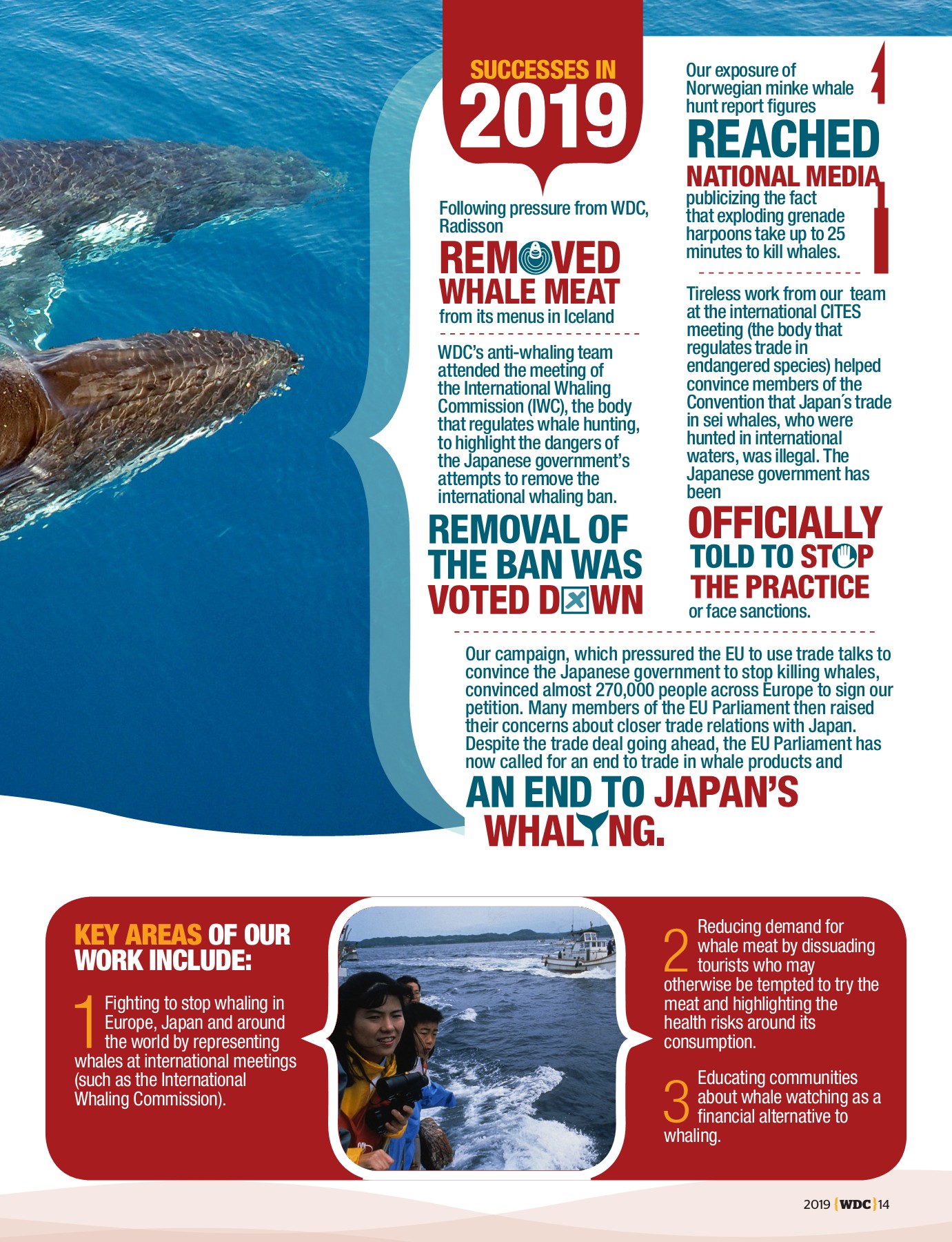 FY2019 ANNUAL IMPACT REPORT Whale and Dolphin Conservation - Whale and ...