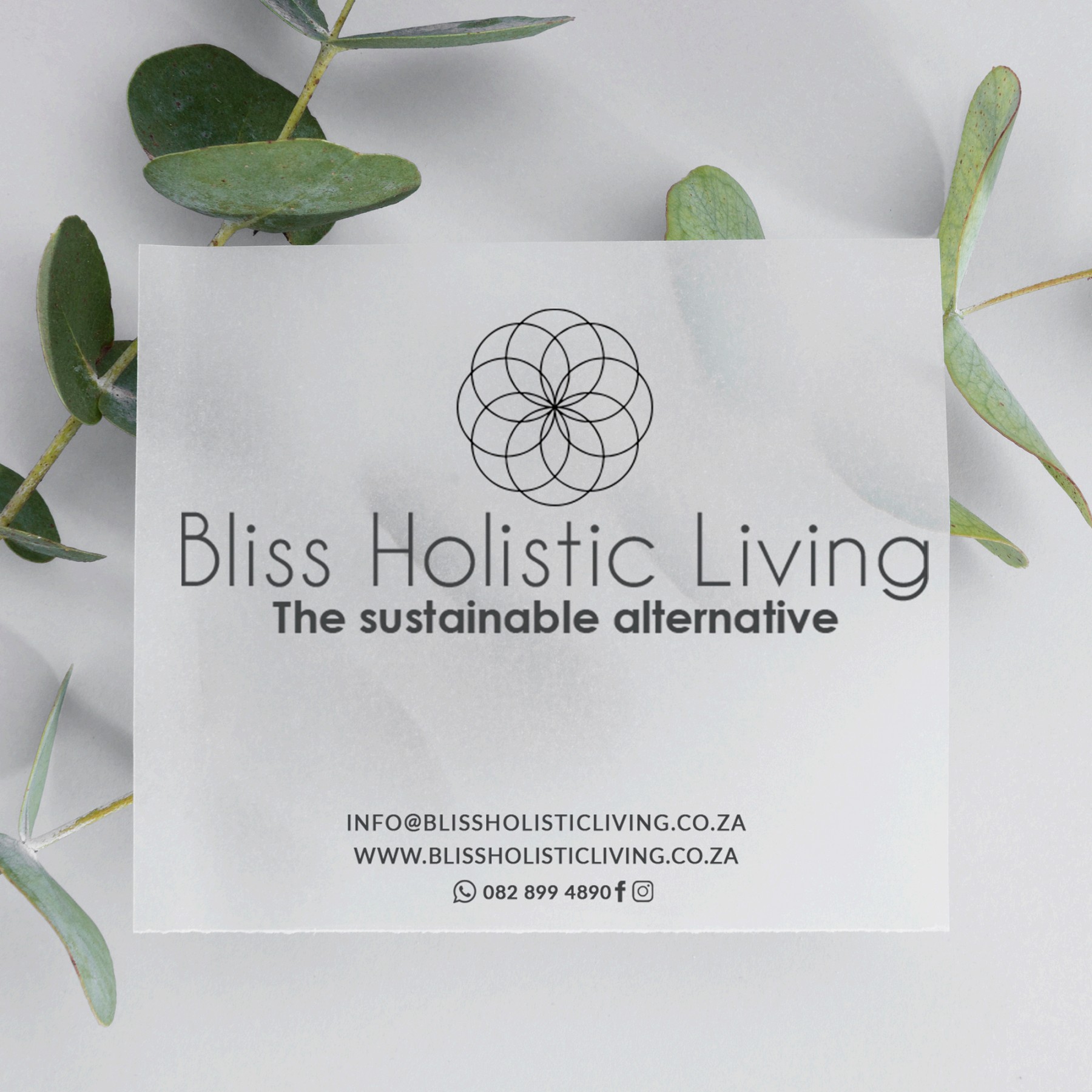 BHL Catalog Sample - Chantal Meyer - Duilleag 1 - 7 | PDF air-loidhne ...