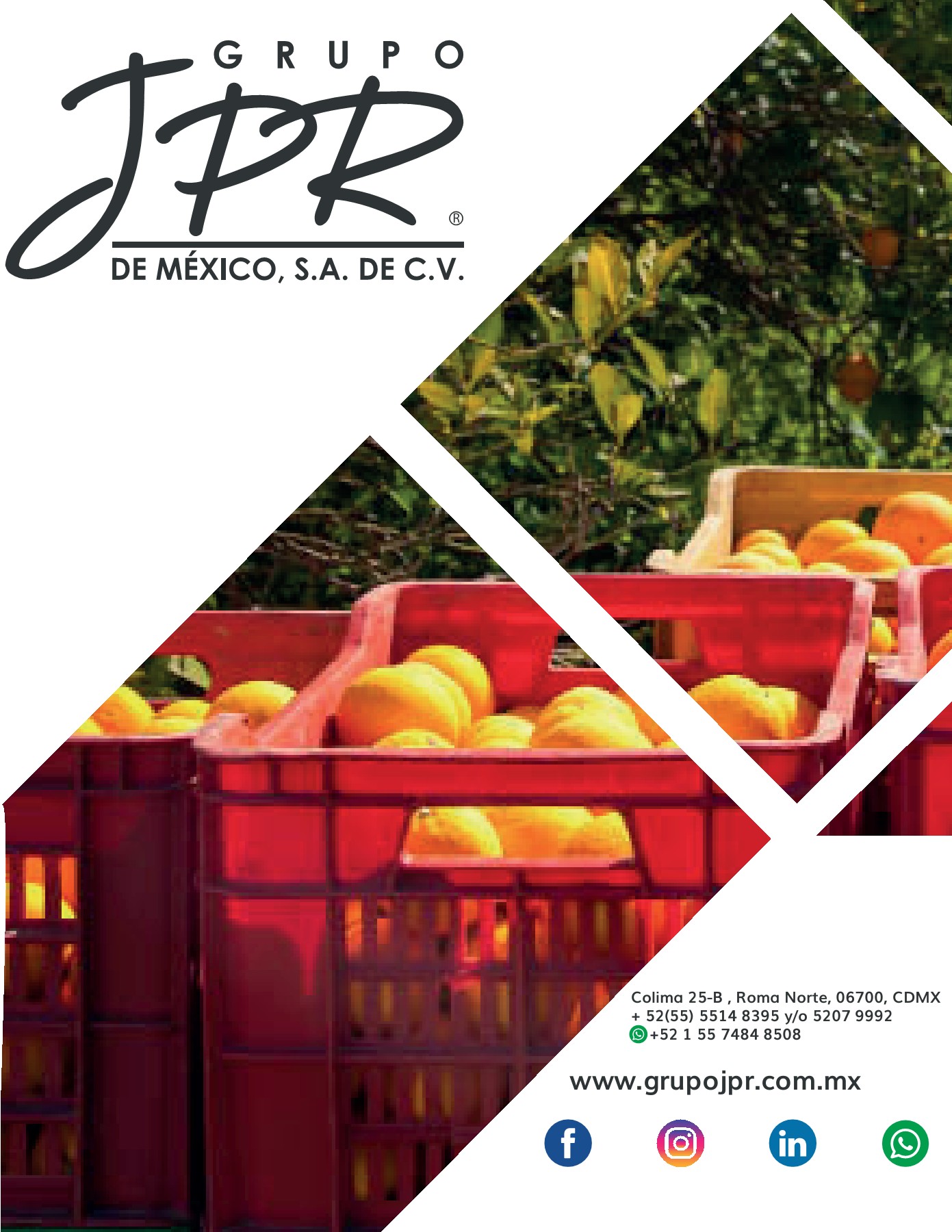 Catalogo Agricola - GRUPO JPR DE MEXICO SA DE CV - Página 59 | Flip PDF en línea | PubHTML5