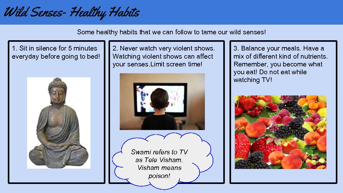 SSE Medical Kit - Wild Senses - SSE Medical Kit - Page 12 | Flip PDF ...