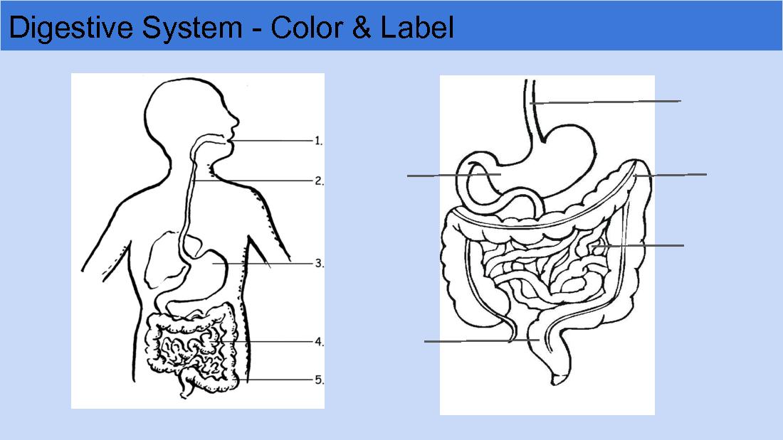 SSE Medical Kit - Growling Stomach - SSE Medical Kit - Page 17 | Flip ...