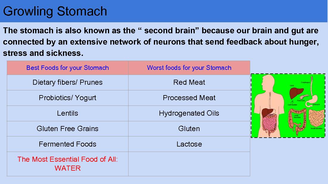 SSE Medical Kit - Growling Stomach - SSE Medical Kit - Page 3 | Flip ...