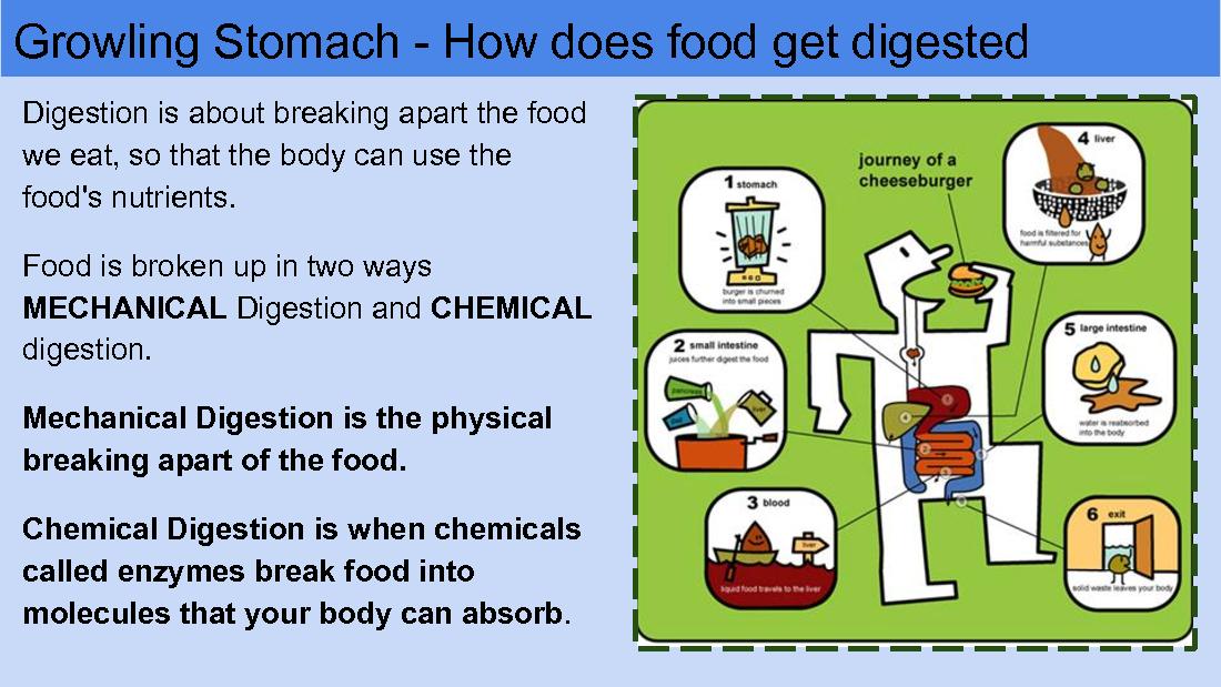 SSE Medical Kit - Growling Stomach - SSE Medical Kit - Page 4 | Flip ...