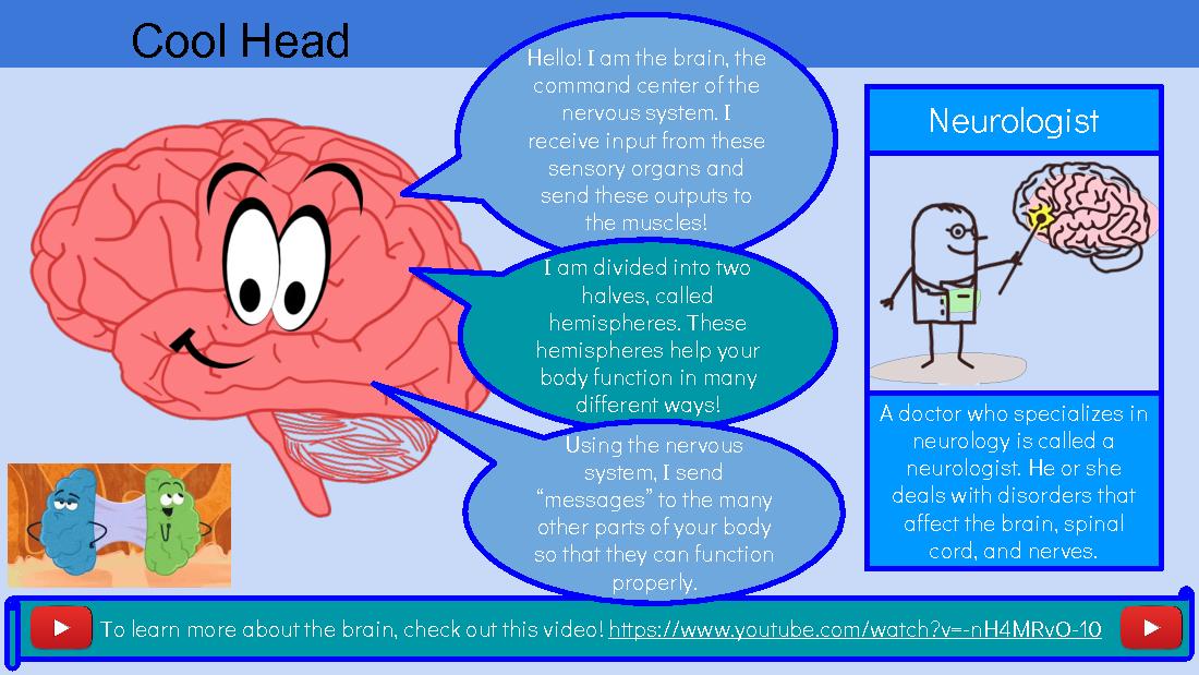 SSE Medical Kit - Cool Head - SSE Medical Kit - Page 3 | Flip PDF ...