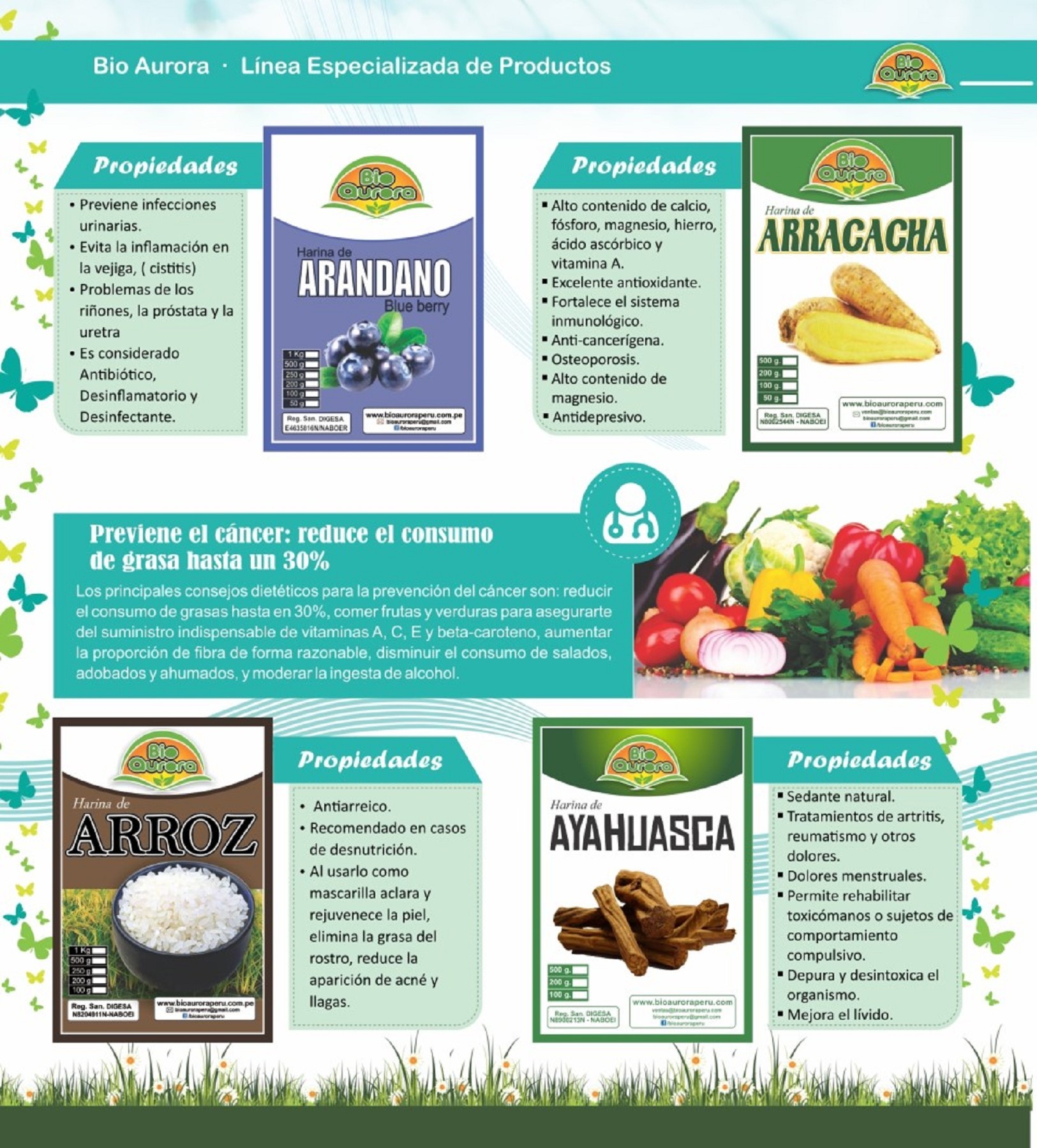 Catalogo BioAurora - proteccionelectronic - Pagina 9 | PDF in linea ...