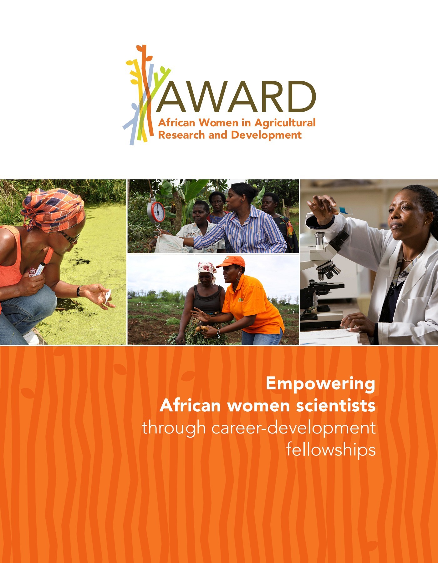 AWARD Empowering African women scientists through career-development ...