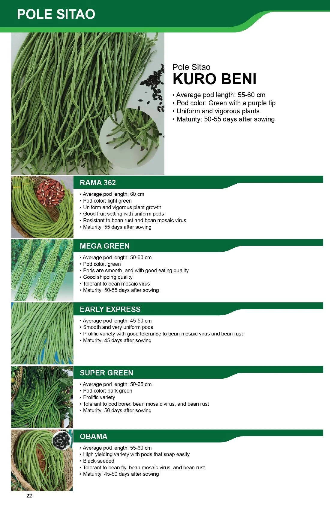 2025-2026 Ramgo Catalogue - Ramgo Seeds - Page 28 | Flip PDF Online ...