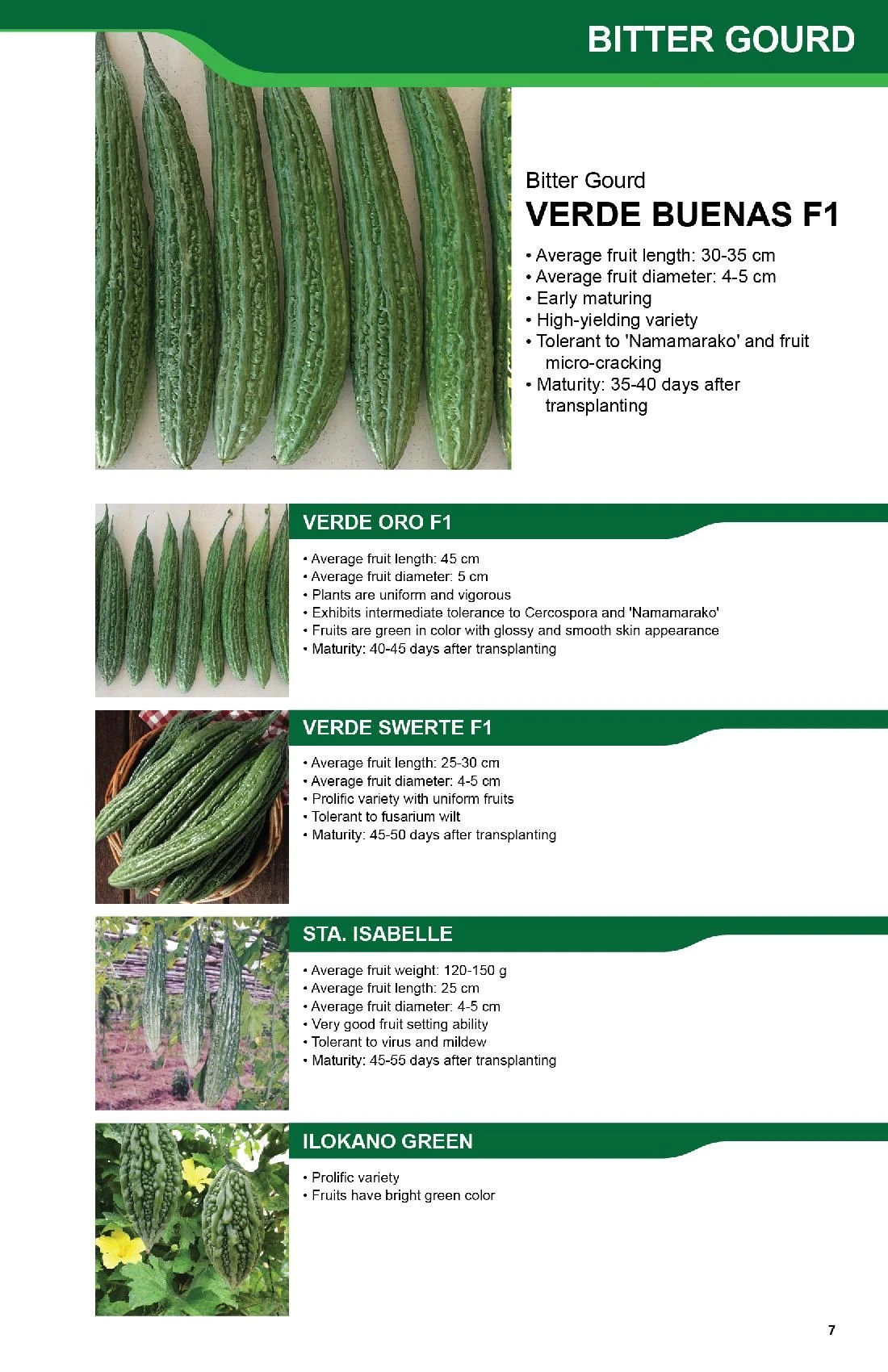 2025-2026 Ramgo Catalogue - Ramgo Seeds - Page 9 | Flip PDF Online ...
