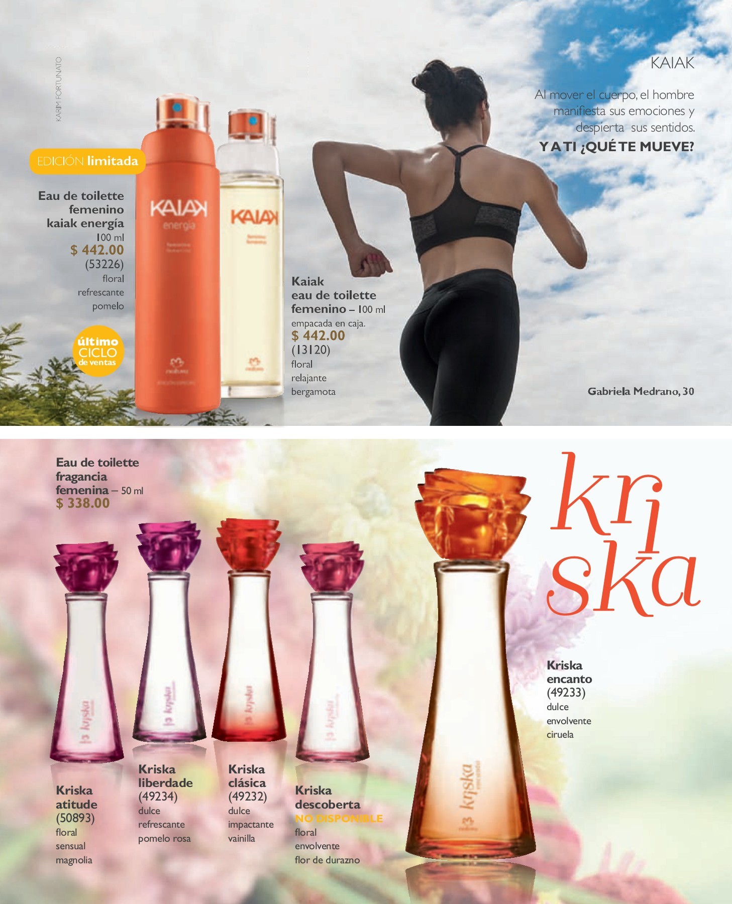 Ciclo 06 2016 MEXICO - jhonnysan - Página 36 | Flip PDF en línea | PubHTML5