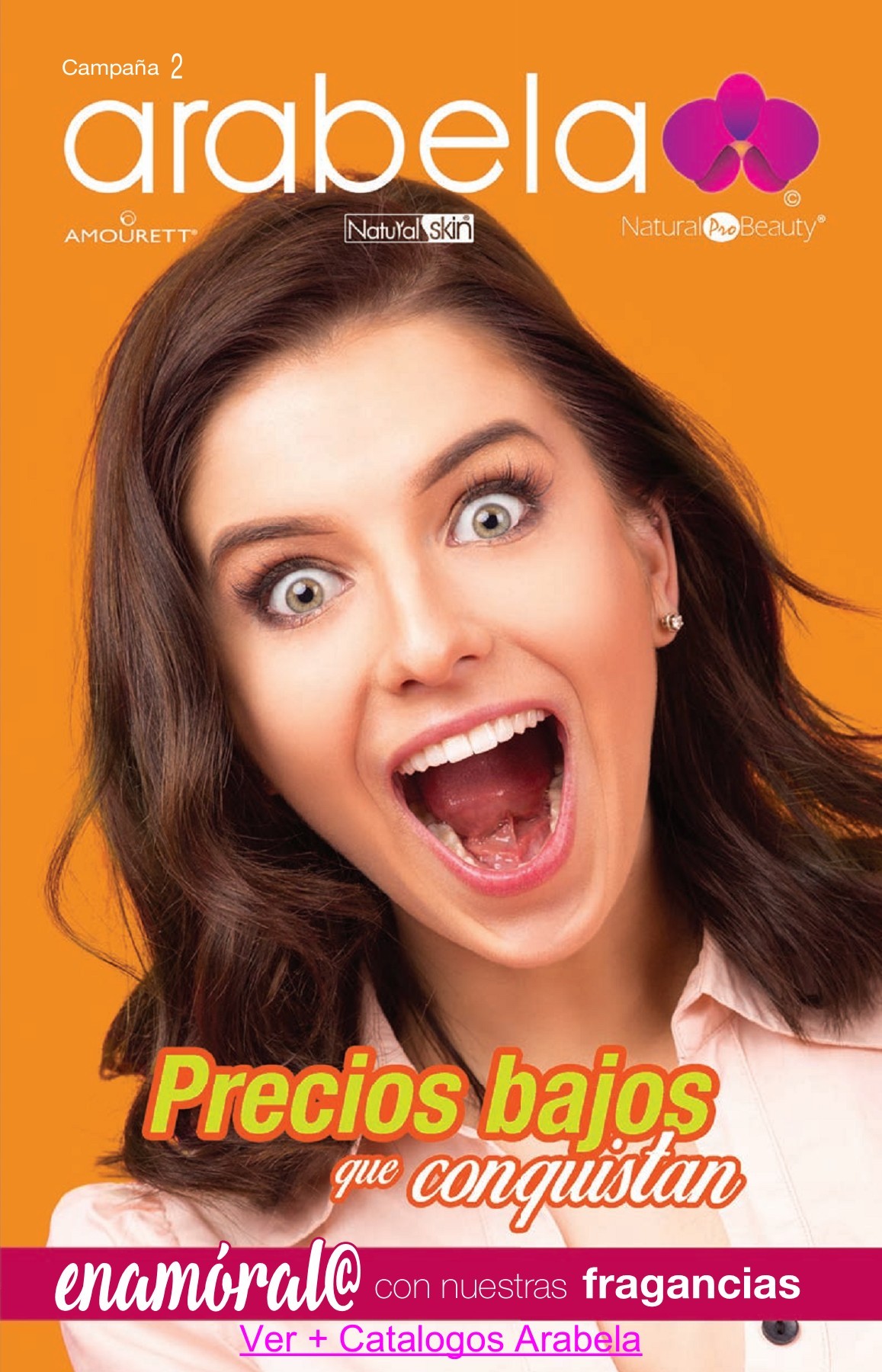 Arabela C2 2017 CatalogosMX - jhonnysan - Página 1 - 252 | Flip PDF en línea | PubHTML5