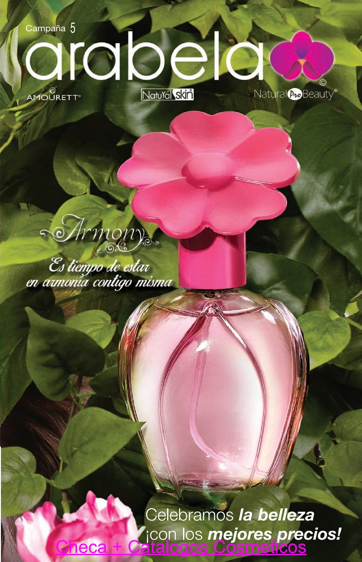 Arabela C05 2017 - jhonnysan - Página 1 - 223 | Flip PDF en línea ...