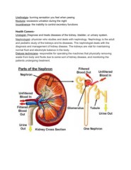 Body systems flip book merged document - hunter.anderson.906 - Page 26 ...