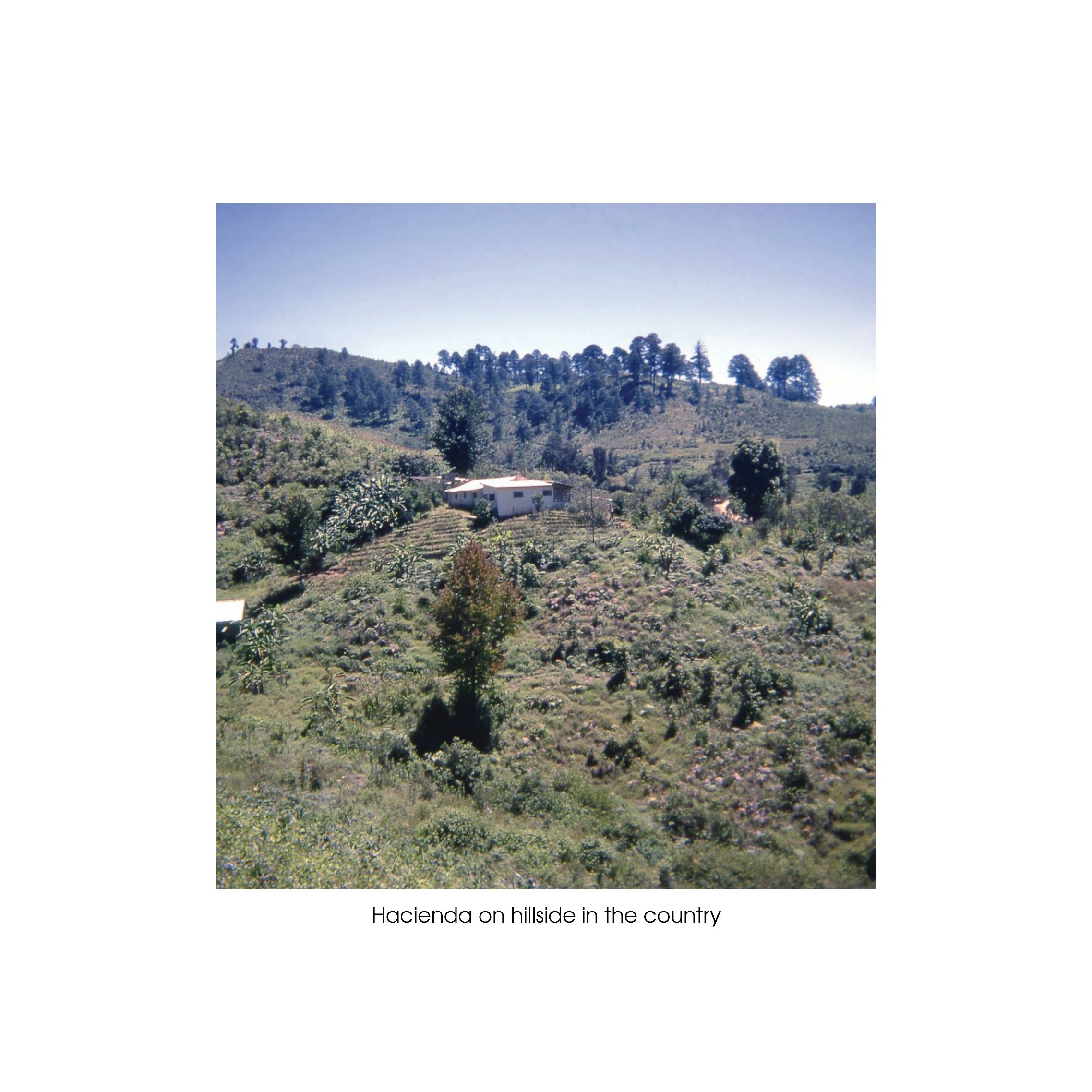 Honduras - qqqaazzzz - Page 99 | Flip PDF Online | PubHTML5