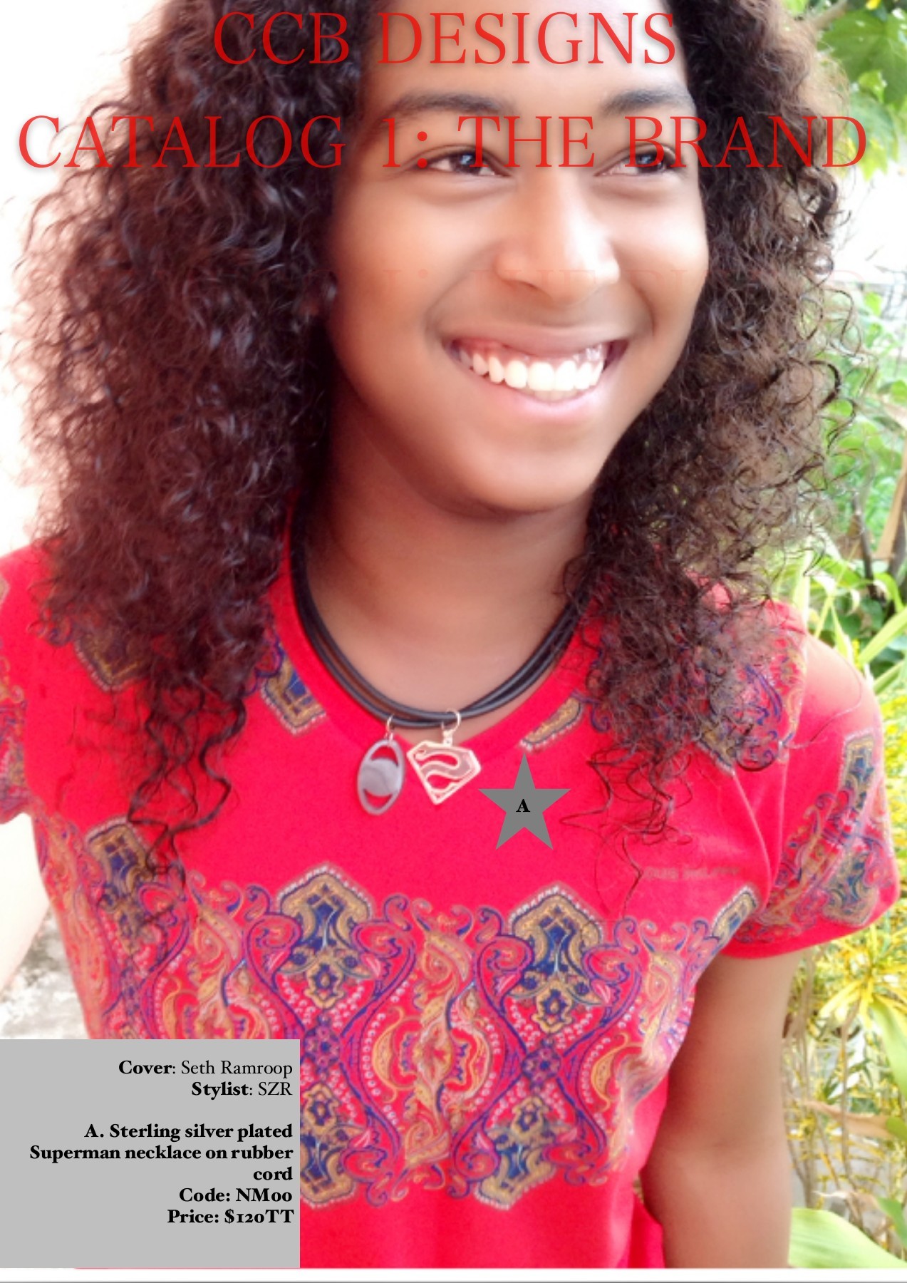 Cherise Castle-Blugh Product Catalogue - blughweb - Page 1 - 5 | Flip ...