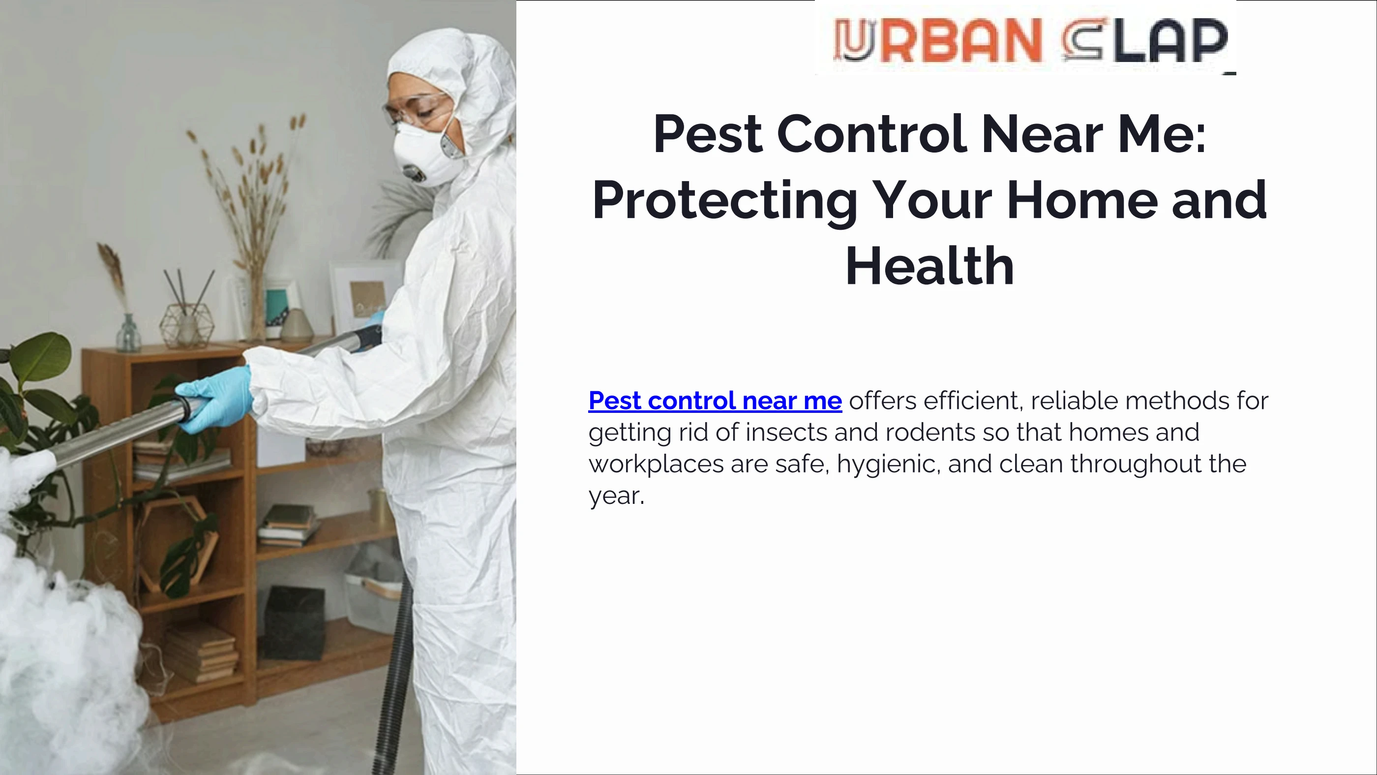 Reliable Local Pest Control Services in Your Area - Mobile Repair Near ...