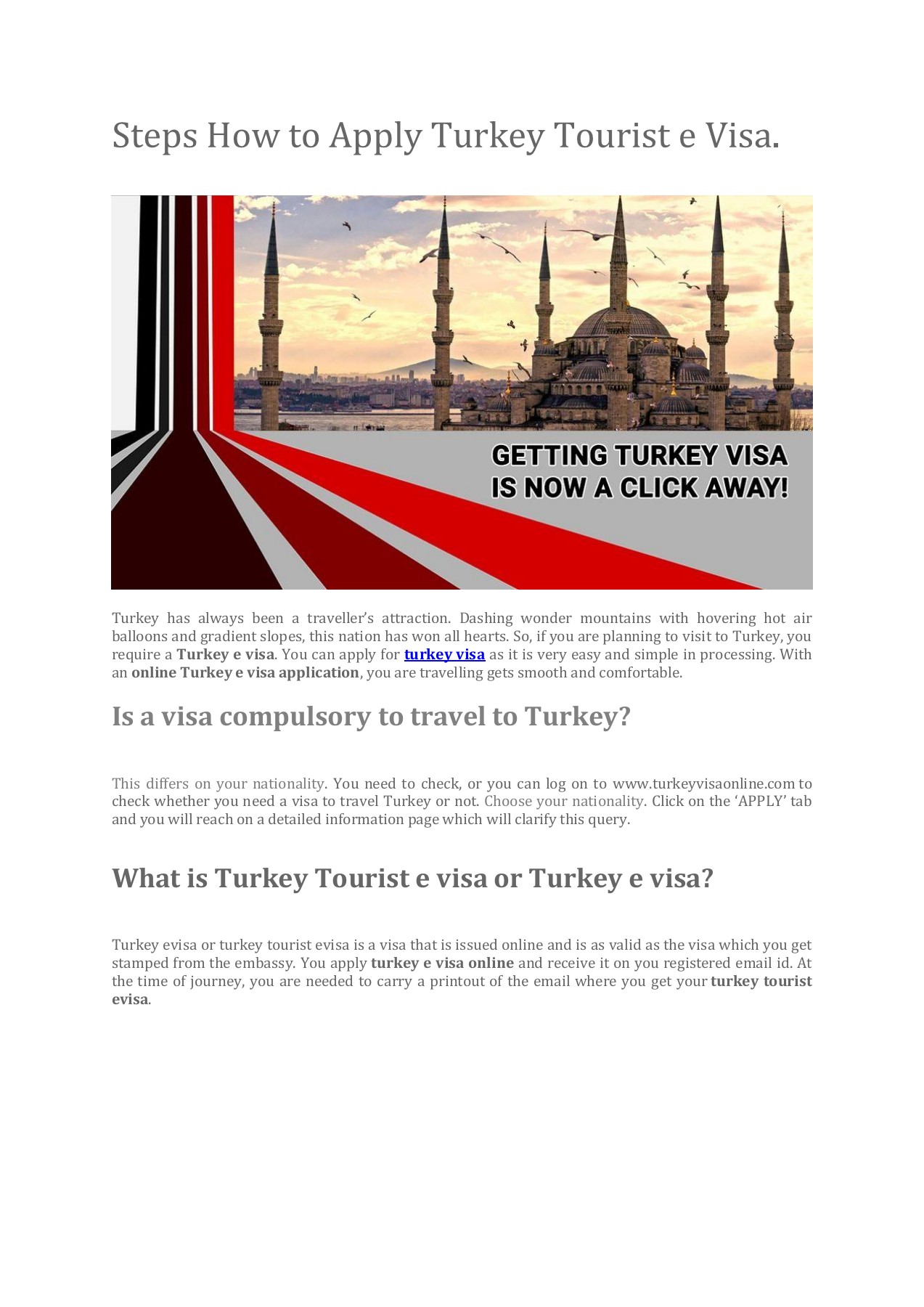 Steps How to Apply Turkey Tourist e Visa - rndubaitravels - Page 1 - 5 | Flip PDF Online | PubHTML5