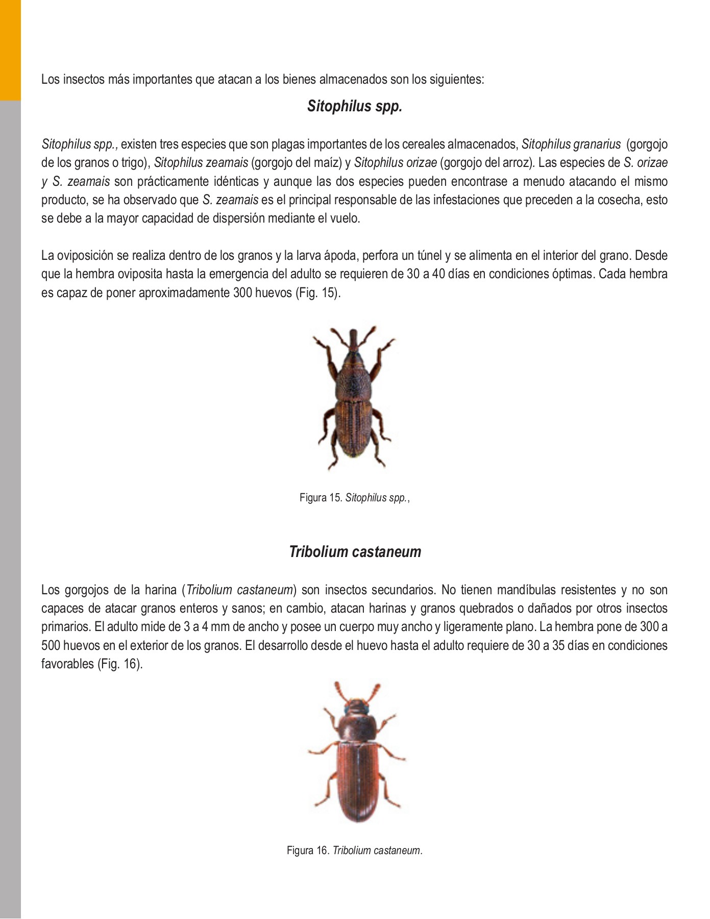 Manual Técnico de Magtoxin - Grupo Preserve - Página 16 | PDF Online ...