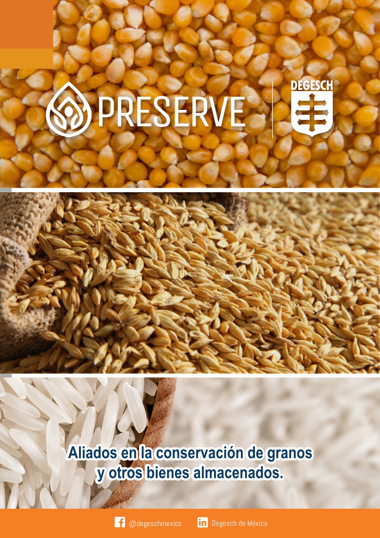 Catálogo de productos Degesch 2020 - Grupo Preserve - Página 1 - 16 ...