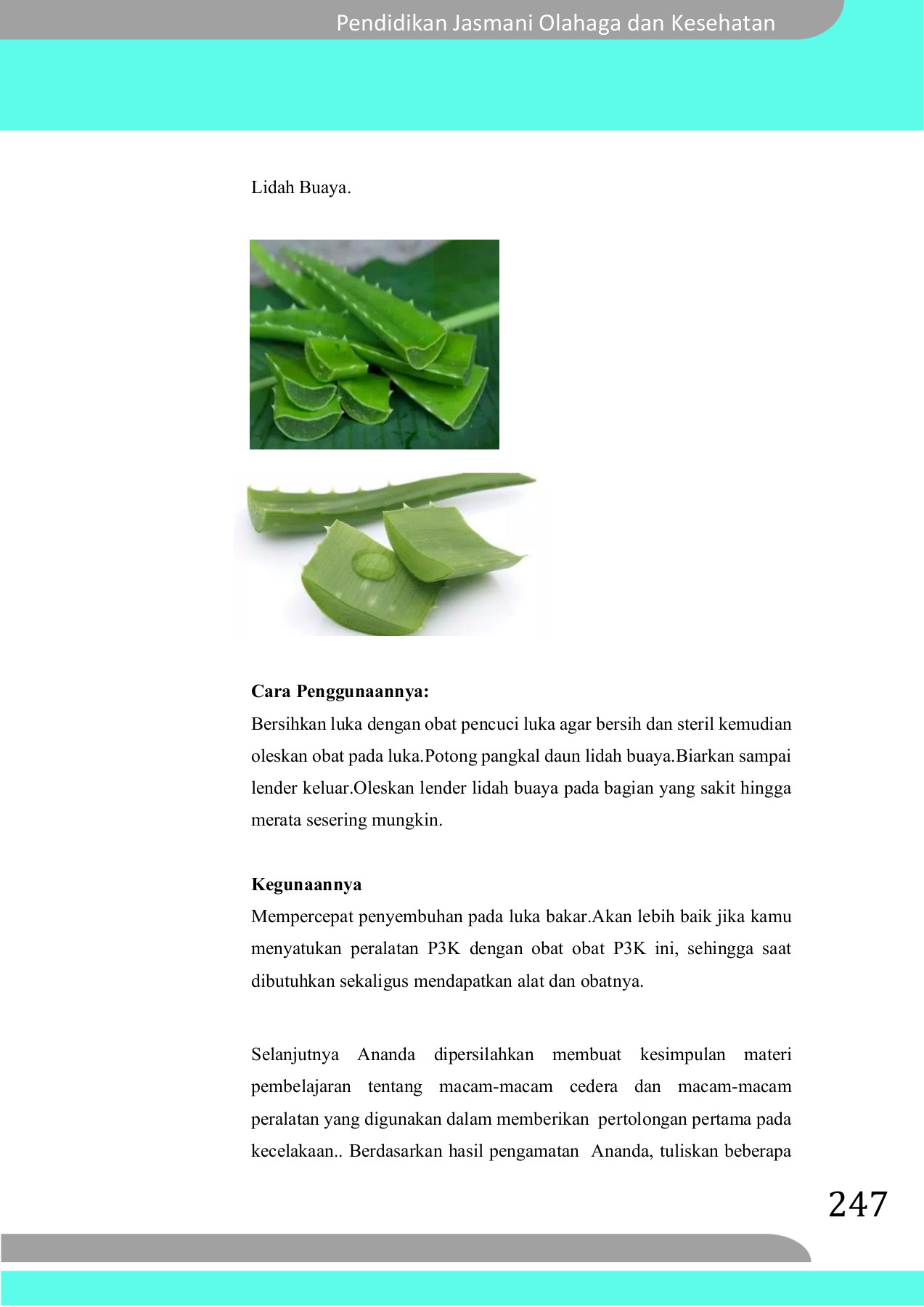 MODUL PJJ PJOK Kls IX - Vina Assyahidah - Halaman 263 | PDF Online ...