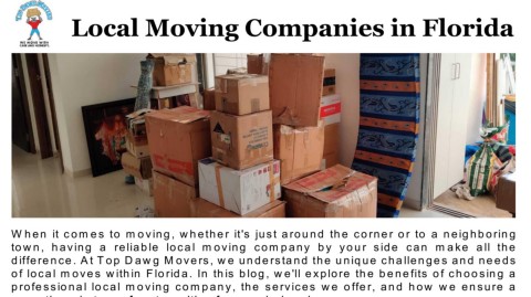 Trusted Local Moving Companies in Florida