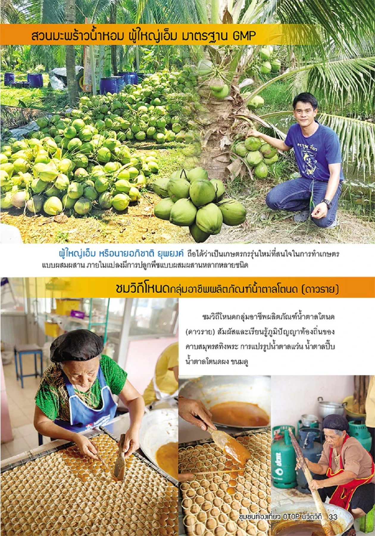 คู่มือ OTOP Innonvative สงขลา - สารสนเทศ สพจ.สงขลา - หน้าหนังสือ 41 ...