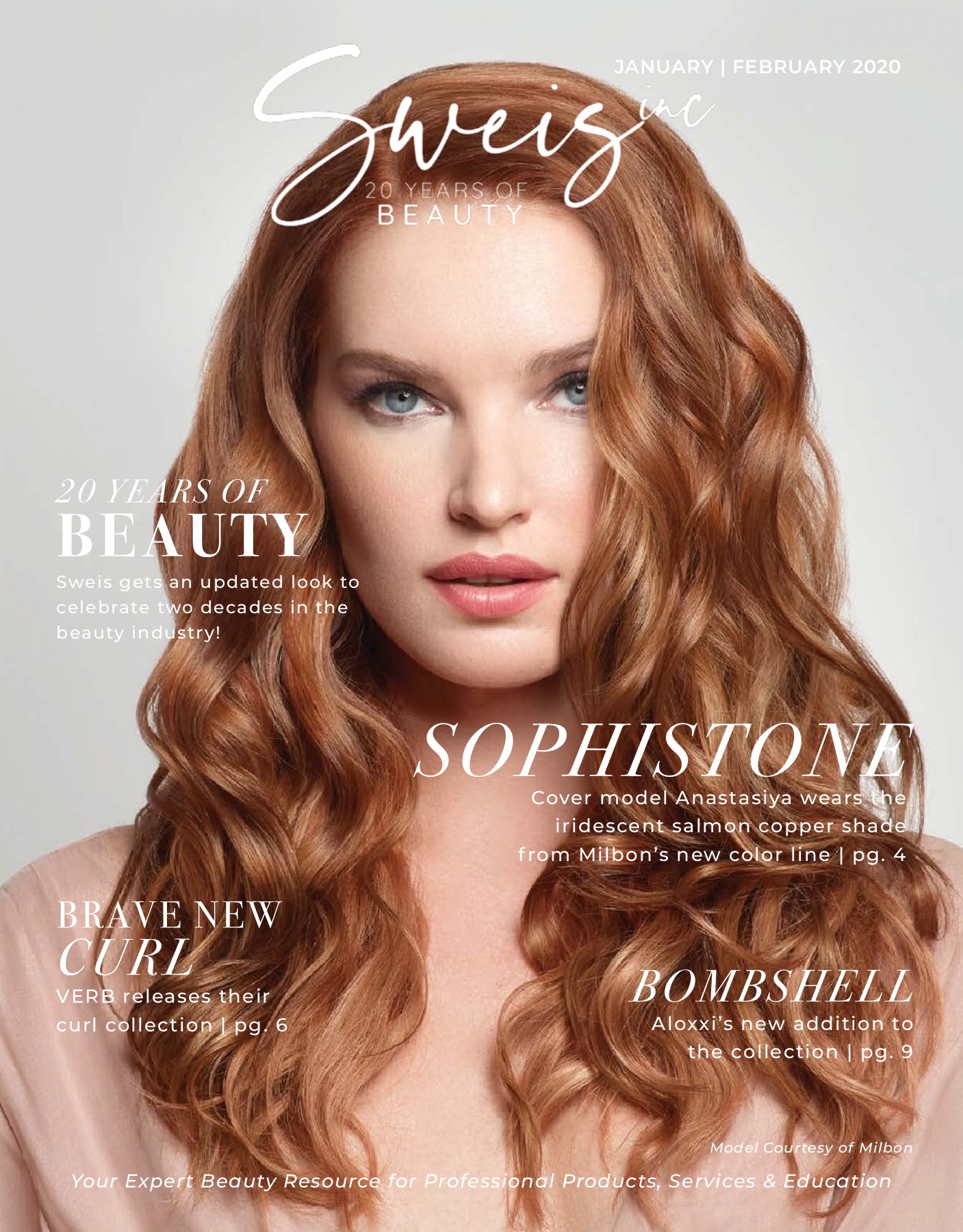 Sweis_2020Mag_JanFeb_NoPrice - Sweis, Inc. - Page 1 - 24 | Flip PDF ...