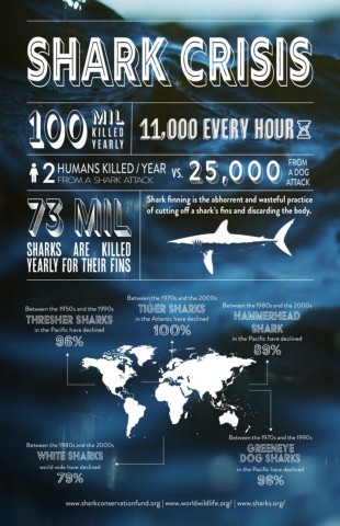 infographic_sustainable_samples - rpiland - Page 1 - 18 | Flip PDF ...