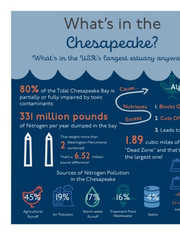infographic_sustainable_samples - rpiland - Page 10 | Flip PDF Online ...