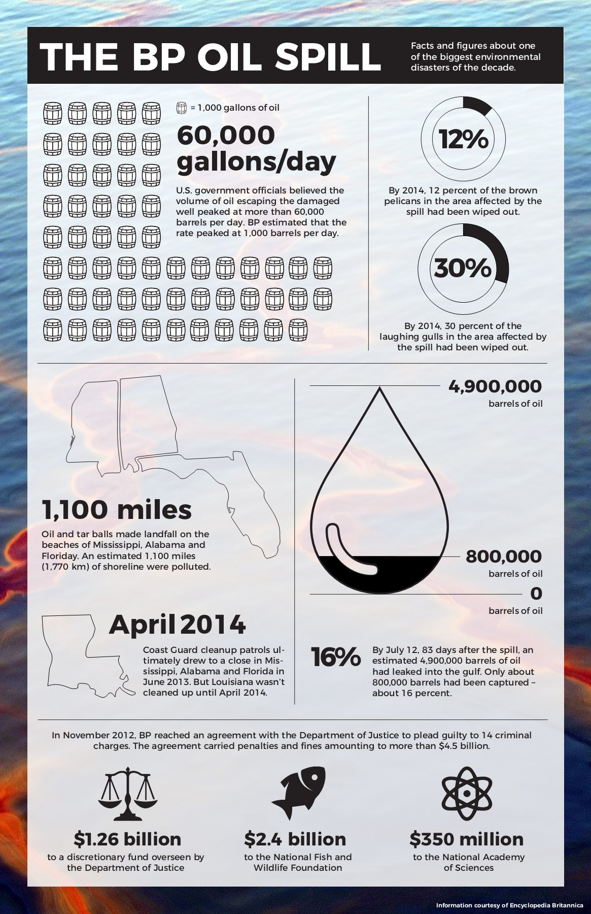 Infographic_examples - rpiland - Page 11 | Flip PDF Online | PubHTML5