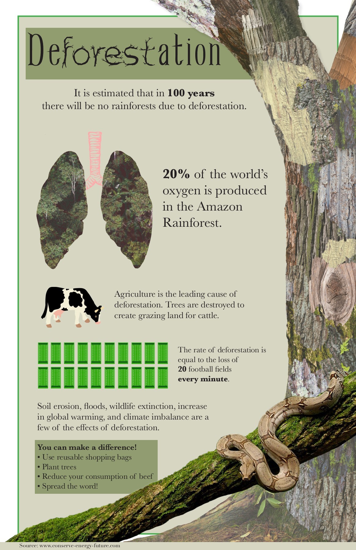 Infographic_examples - rpiland - Page 2 | Flip PDF Online | PubHTML5
