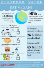 Infographic_examples - rpiland - Page 10 | Flip PDF Online | PubHTML5