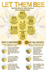 Infographic_examples - rpiland - Page 4 | Flip PDF Online | PubHTML5