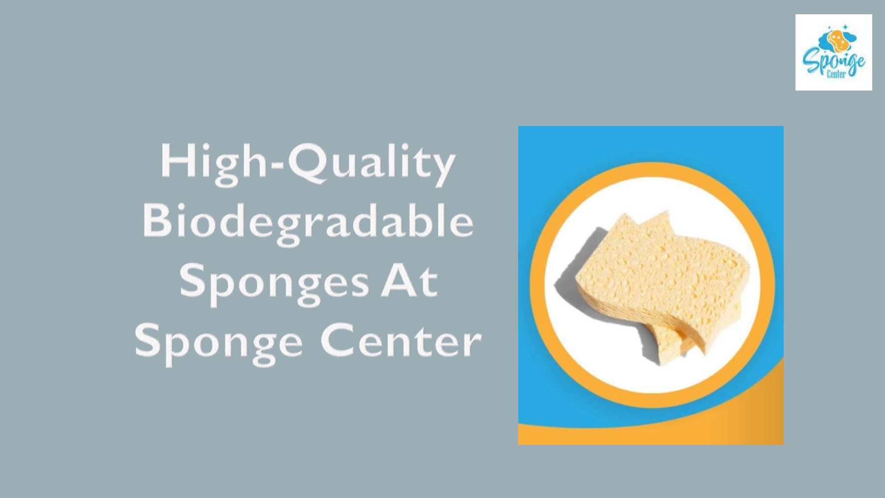 High-Quality Biodegradable Sponges - Sponge Center - Page 1 - 6 | Flip ...
