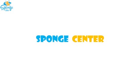 All Types Custom Sponge Manufacturer USA - Sponge Center