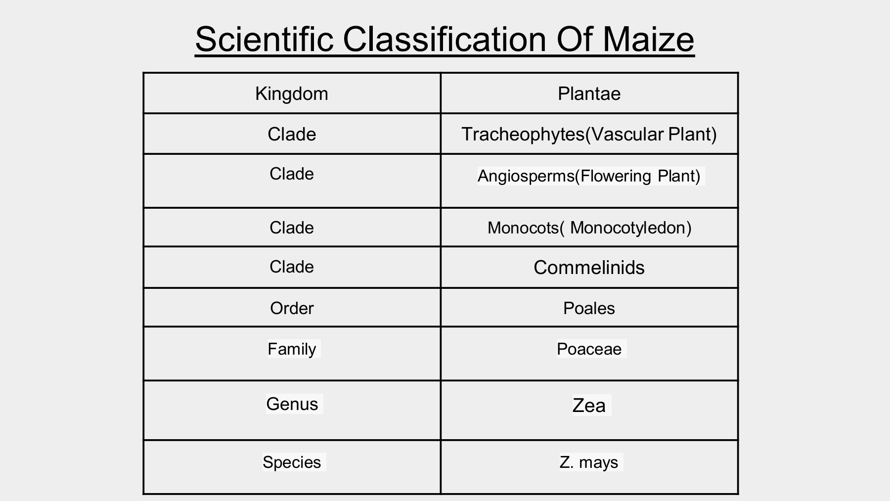 agriculture project - bobannancy69 - Page 419 | Flip PDF Online | PubHTML5