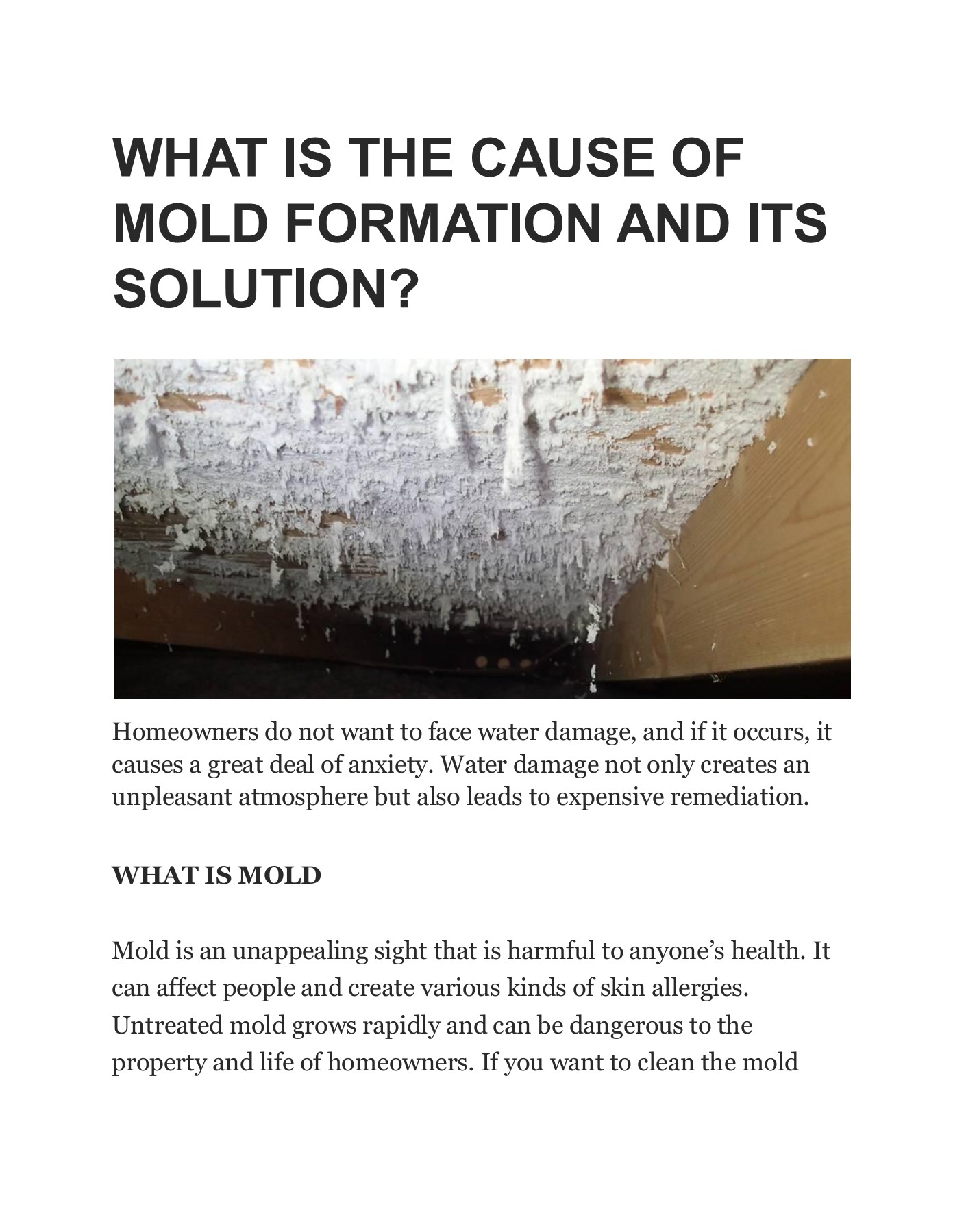 WHAT IS THE CAUSE OF MOLD FORMATION AND ITS SOLUTION ...