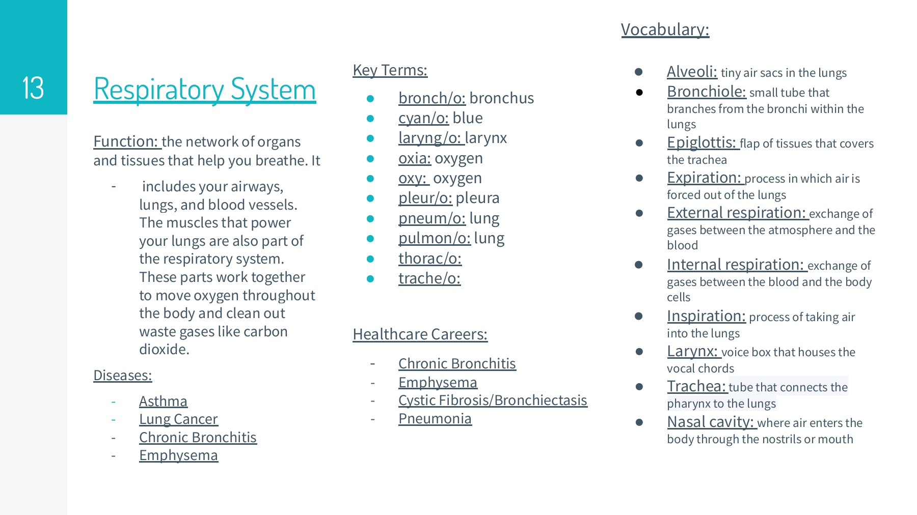 Body Systems Flipbook - Mattie Senn - Page 13 | Flip PDF Online | PubHTML5
