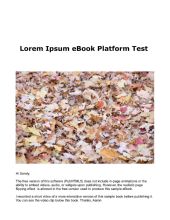 Lorem Ipsum eBook test_ - aarongmh - Page 1 - 5 | Flip PDF Online ...