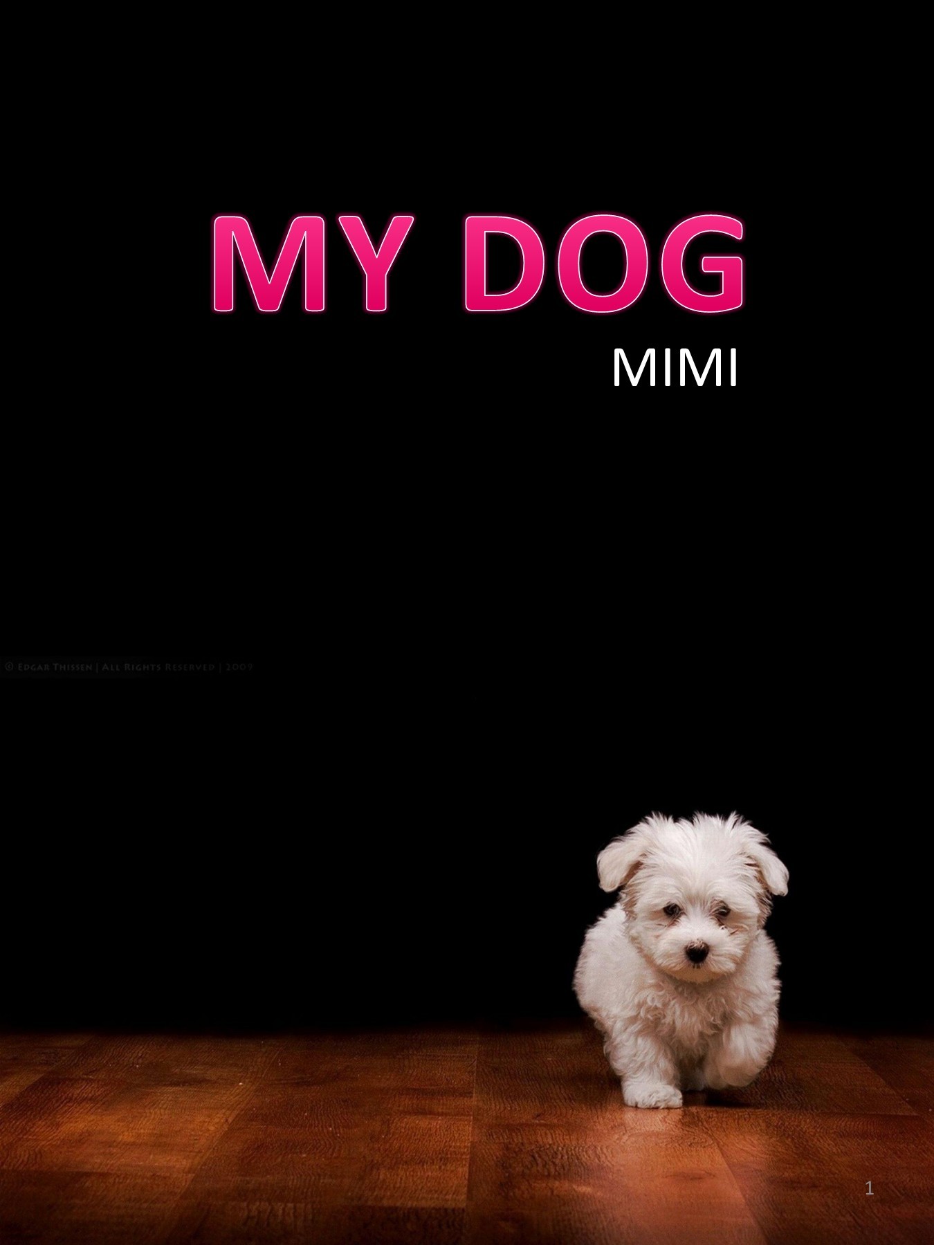 the dog - emilygo2011 - Page 1 - 4 | Flip PDF Online | PubHTML5